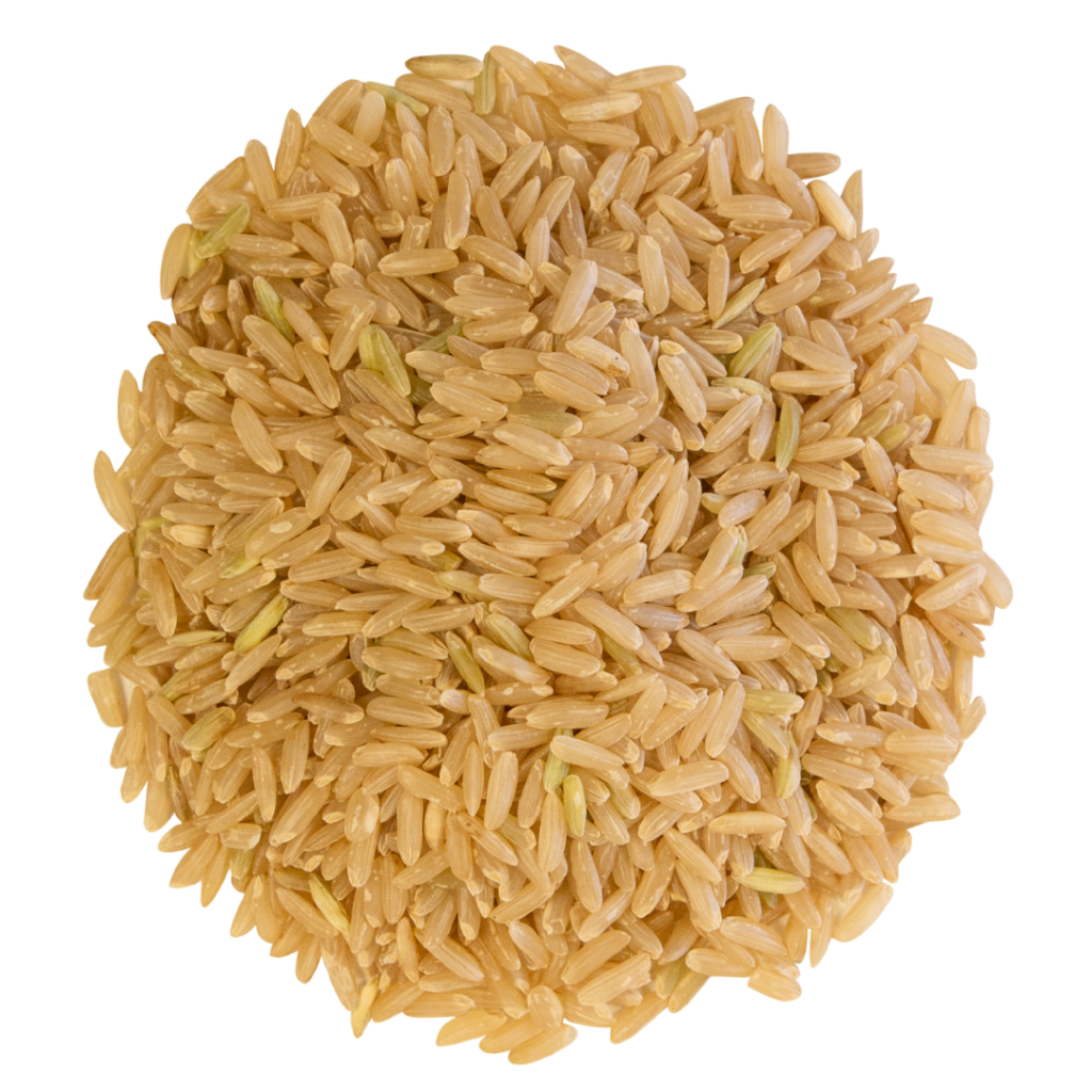 RIZ LONG COMPLET ITALIE 5KG – Priméal - Produits bio, cuisine végétale ...